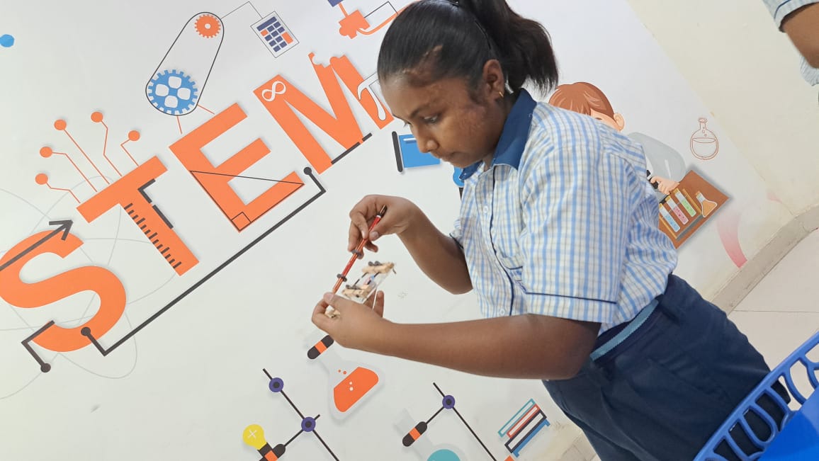 Hermann Gmeiner School, Faridabad